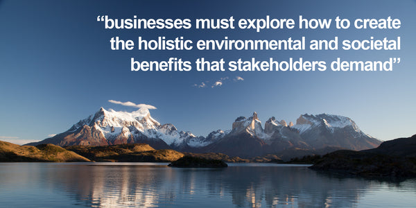 Designing Sustainable Business Models – Sarah Leslie Consulting