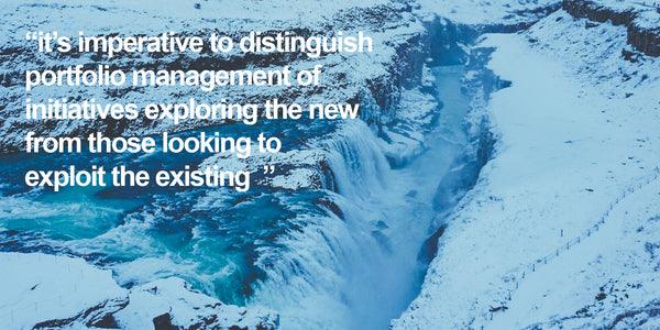 Designing Innovation Portfolios for Exploration and Exploitation ...